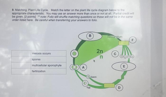 Solved 8. Matching. Plant Life Cycle. Match the letter on | Chegg.com