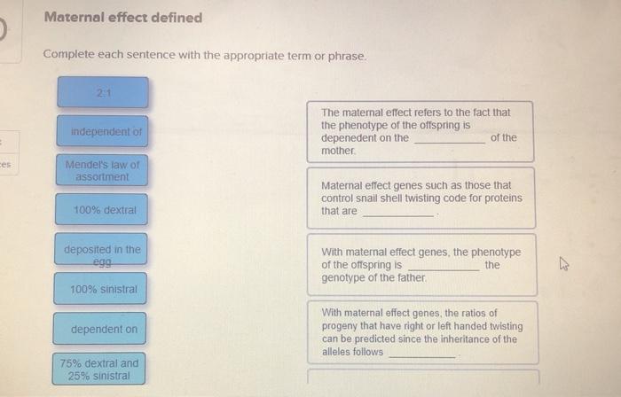 Solved Maternal effect defined Complete each sentence with | Chegg.com