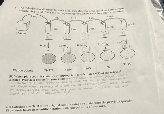 Solved 5. (A) Calculate the dilutions for each tube. | Chegg.com