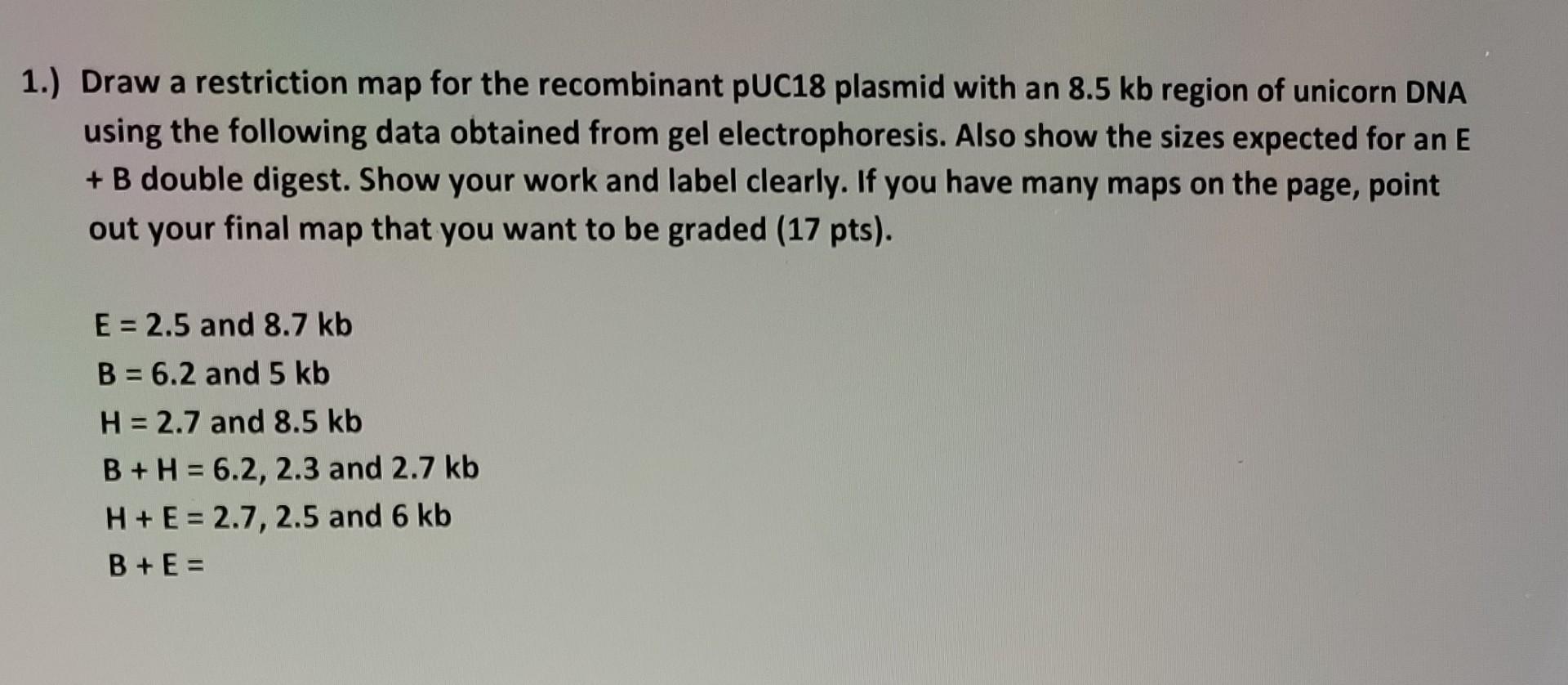 Solved 1.) Draw a restriction map for the recombinant pUC18 | Chegg.com