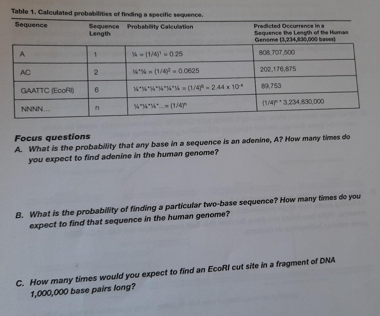 Solved Table 1. Calculated probabilities of finding a | Chegg.com