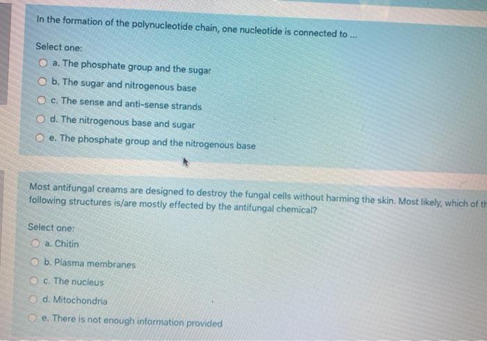 Solved In the formation of the polynucleotide chain, one | Chegg.com