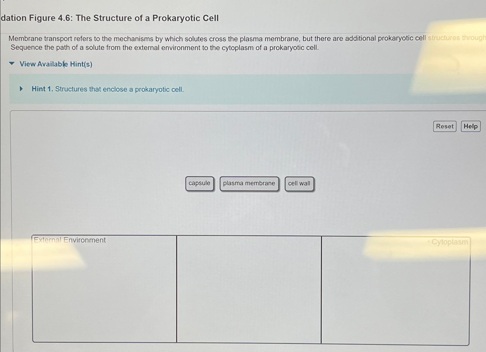 Solved dation Figure 4.6: The Structure of a Prokaryotic | Chegg.com