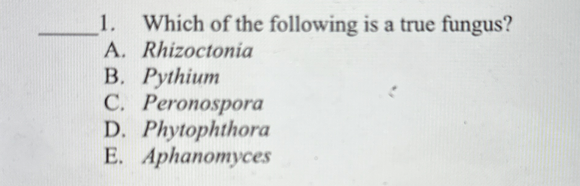 Solved Which of the following is a true fungus?A. | Chegg.com