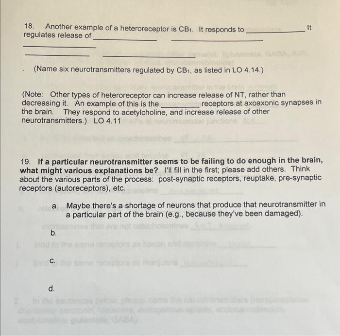 18. Another example of a heteroreceptor is CB1. It | Chegg.com