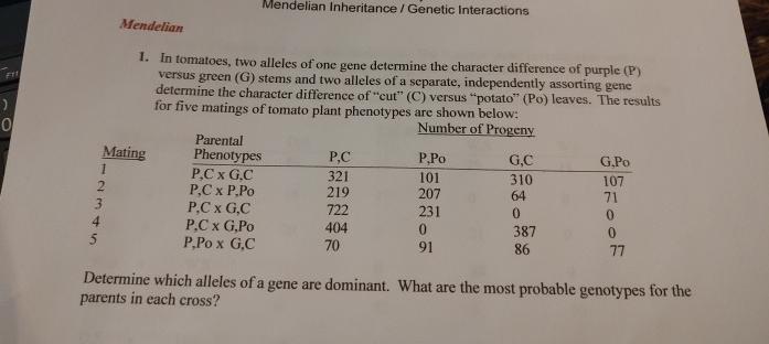 Solved Mendelian Inheritance / ﻿Genetic | Chegg.com