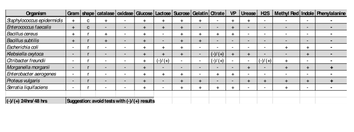 Solved Create a dichotomous key using the following | Chegg.com