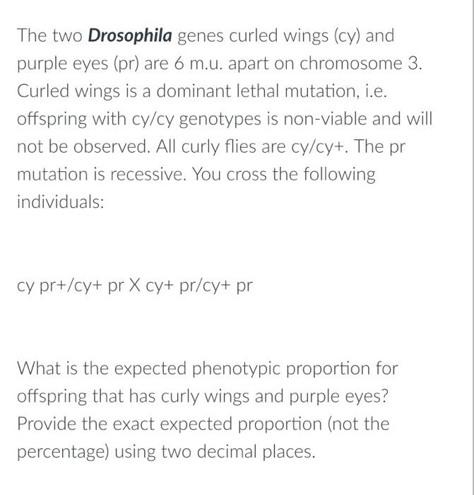Solved The two Drosophila genes curled wings (cy) and purple | Chegg.com