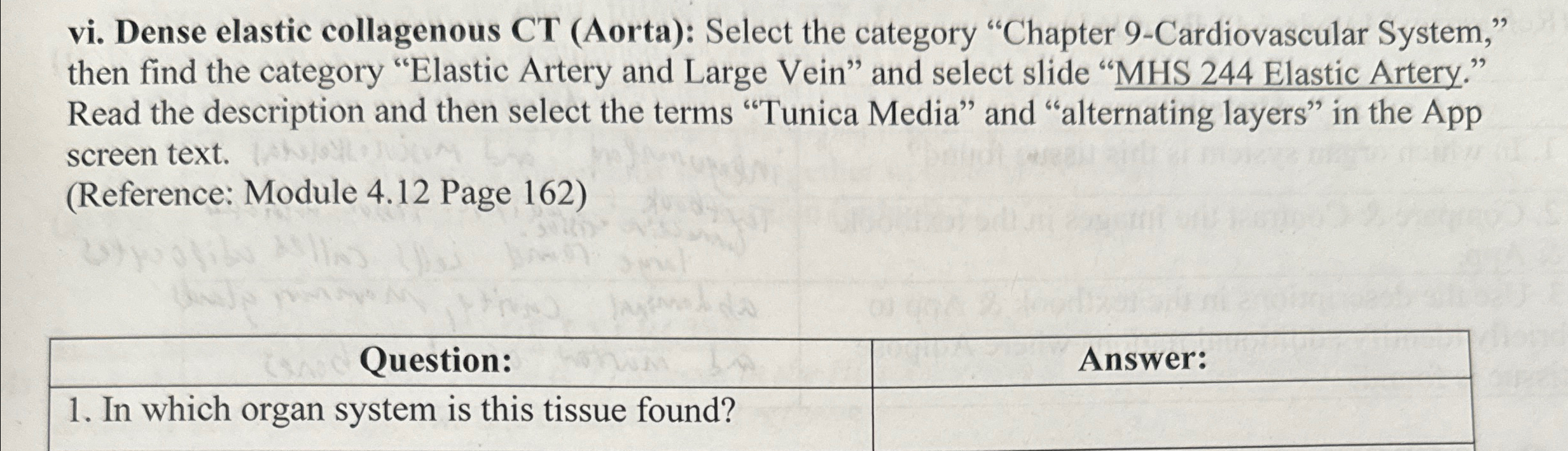 Solved vi. ﻿Dense elastic collagenous CT (Aorta): Select the | Chegg.com
