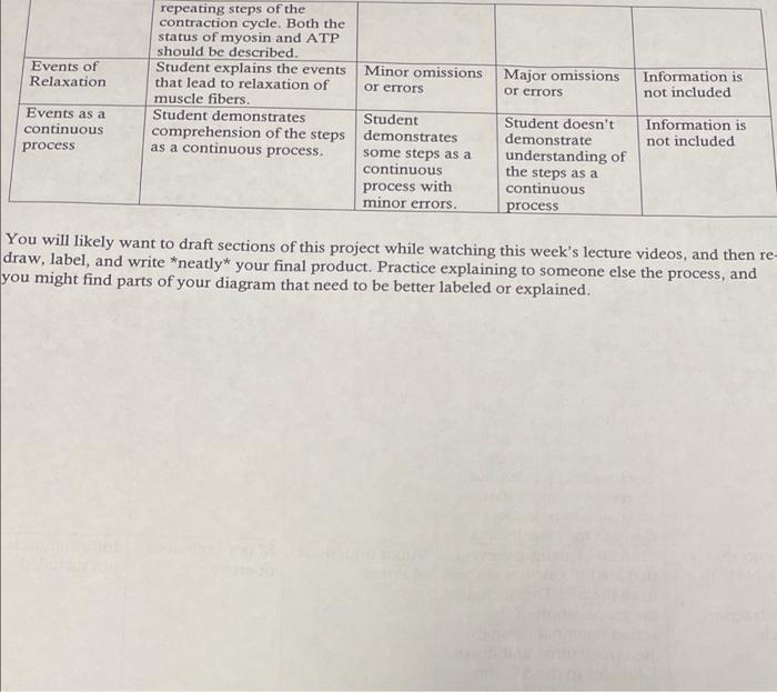 or errors or errors For this project you're going to | Chegg.com