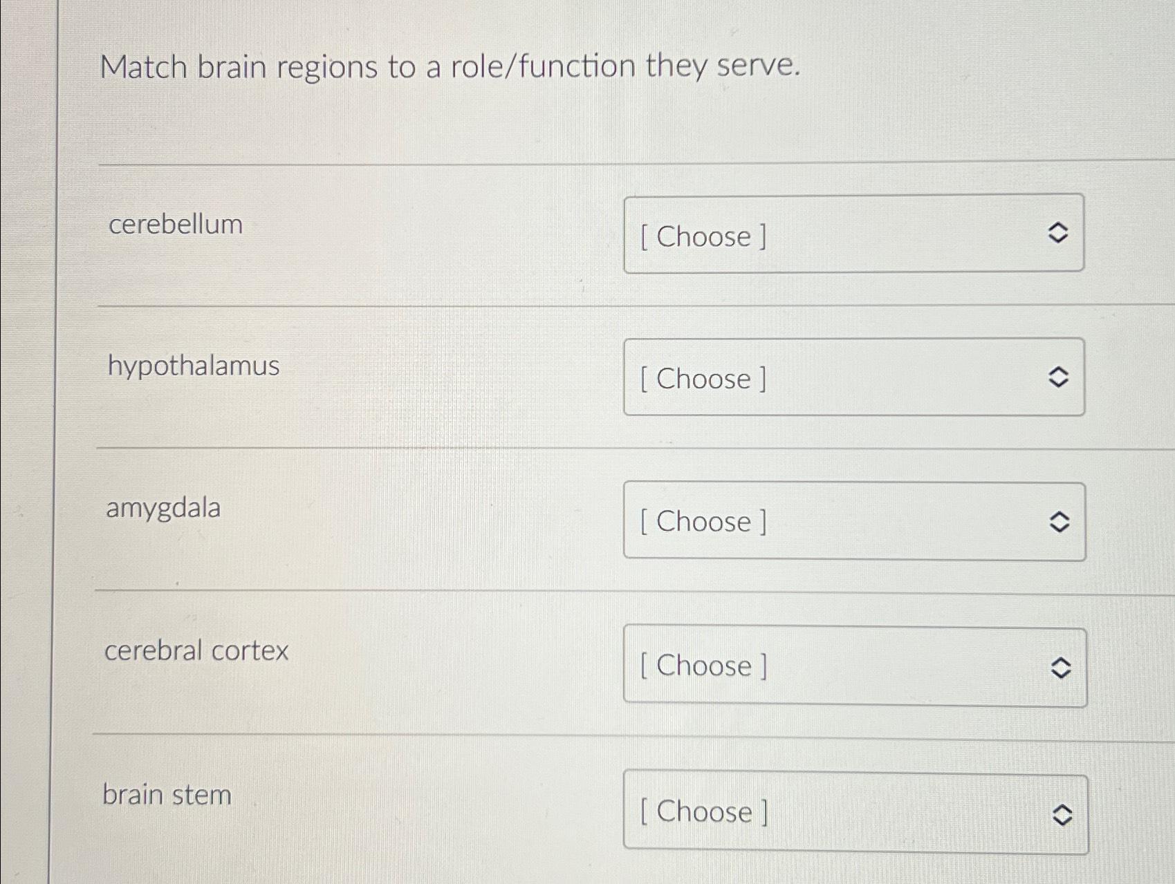 Solved Match brain regions to a role/function they | Chegg.com