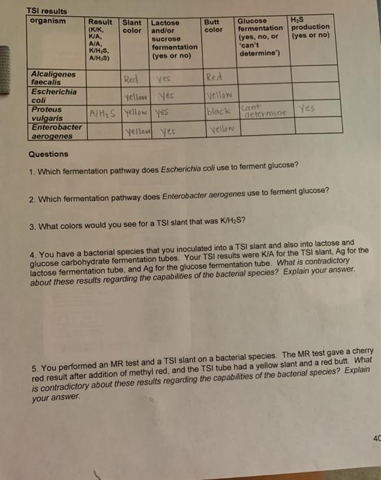 Solved TSI results organism Slant color Butt color Rosult | Chegg.com