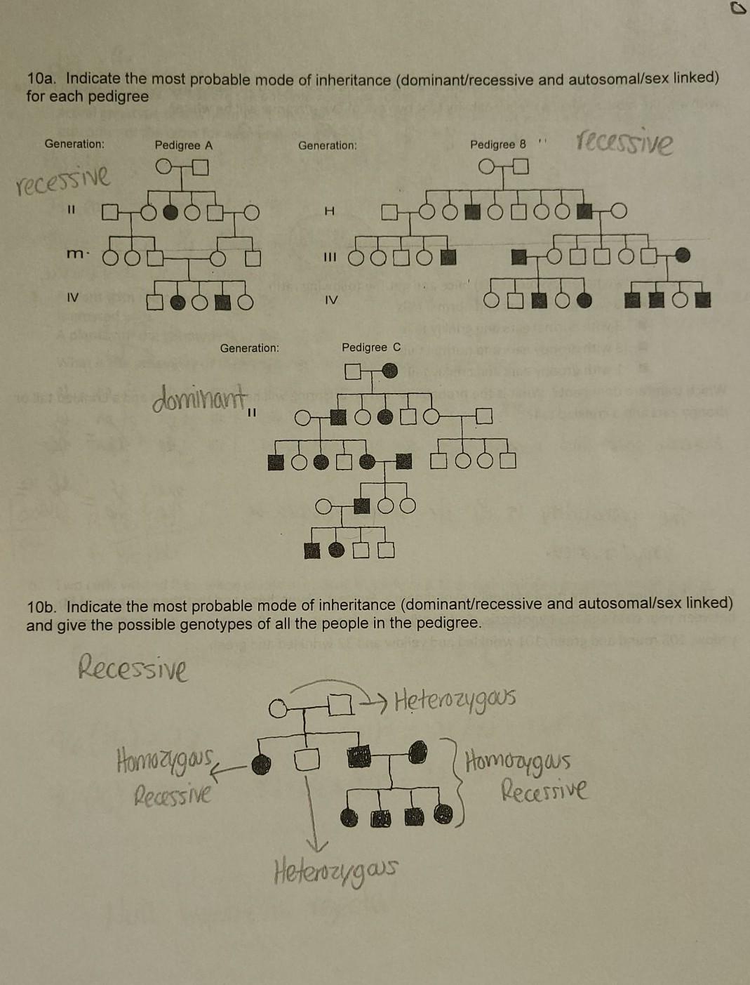 Solved 10a Indicate The Most Probable Mode Of Inheritance