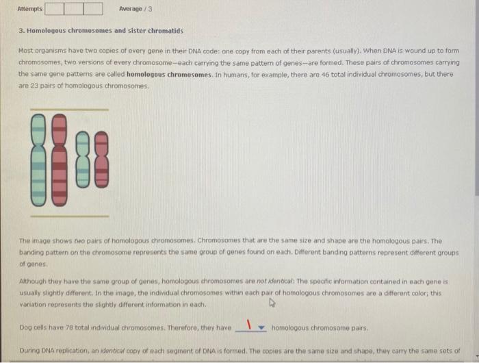 Solved Attempts Average/3 3. Homologous chromosomes and | Chegg.com Solved Attempts Average/3 3. Homologous chromosomes and | Chegg.com
