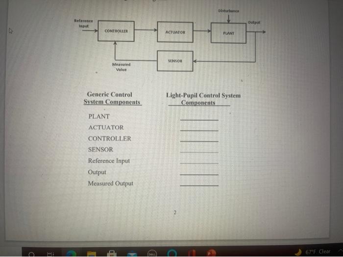 Solved The human eye has a biological control system that | Chegg.com