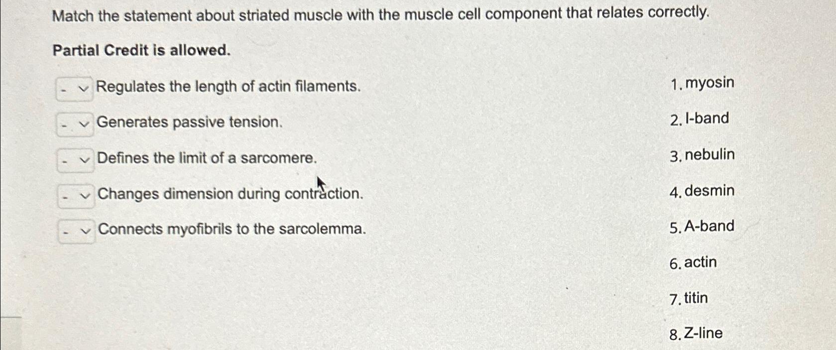 Solved Match the statement about striated muscle with the | Chegg.com