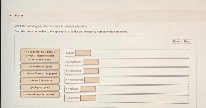 Solved Part A Match the following joint structures with its | Chegg.com
