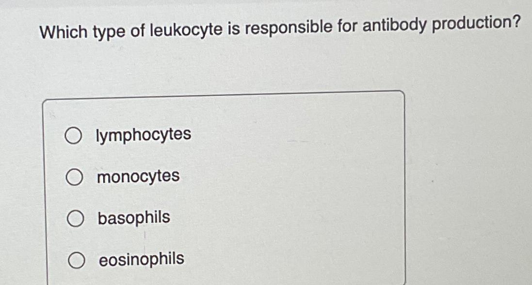 Solved Which type of leukocyte is responsible for antibody | Chegg.com