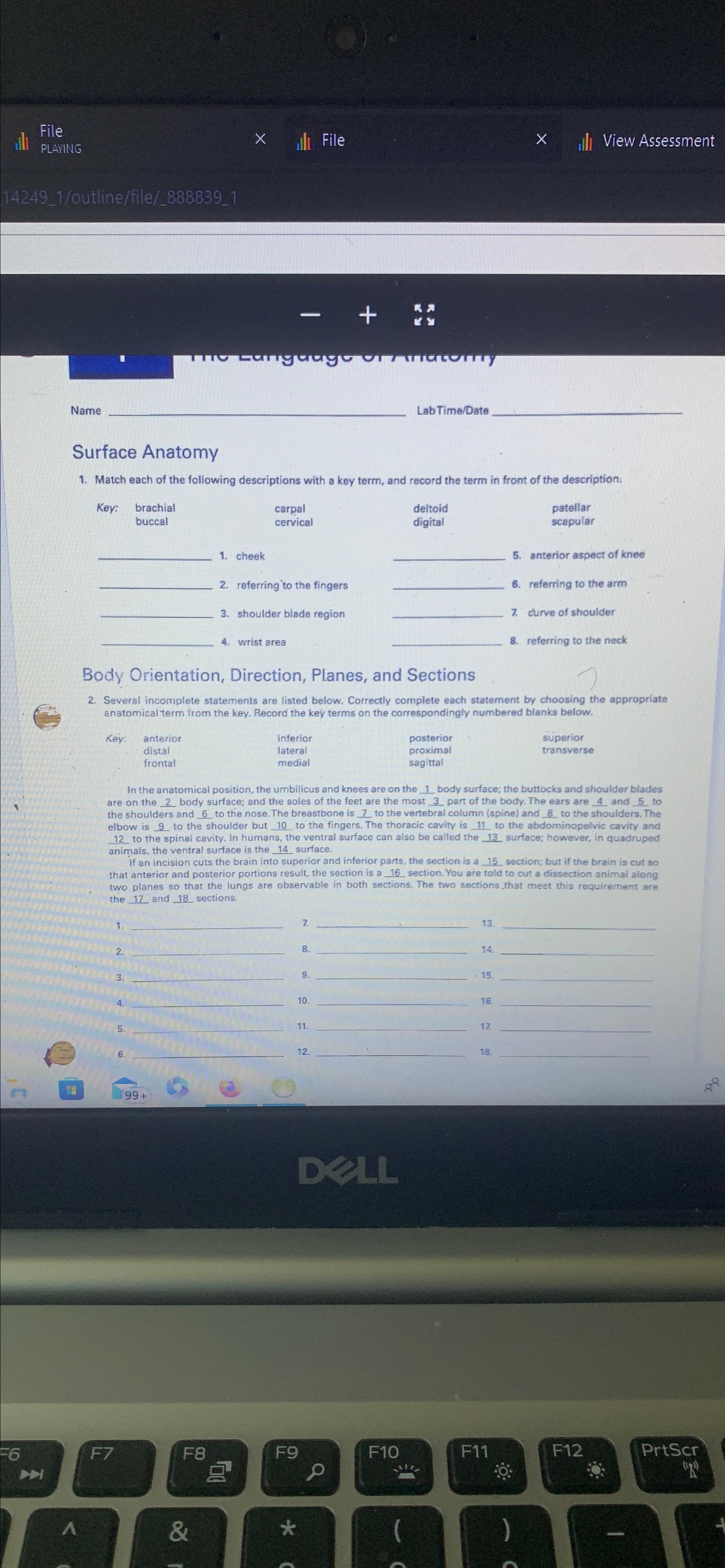 Solved FilePLAYING× „ll Filex.ll View | Chegg.com