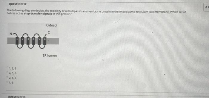 Solved QUESTION 7 The signal-recognition particle (SRP). | Chegg.com