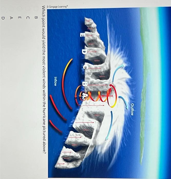 Solved The damage pattern seen above could be best described | Chegg.com
