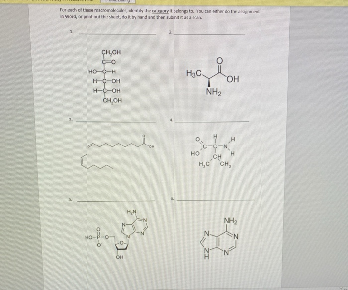 Solved For each of these macromolecules, identify the | Chegg.com