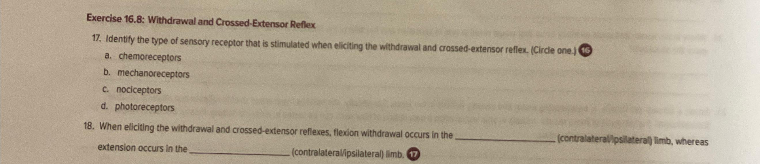Solved Exercise 16.8: Withdrawal and Crossed-Extensor | Chegg.com