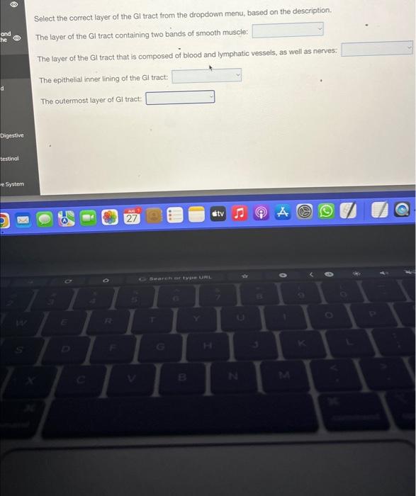 Solved Select the correct layer of the Gl tract from the | Chegg.com