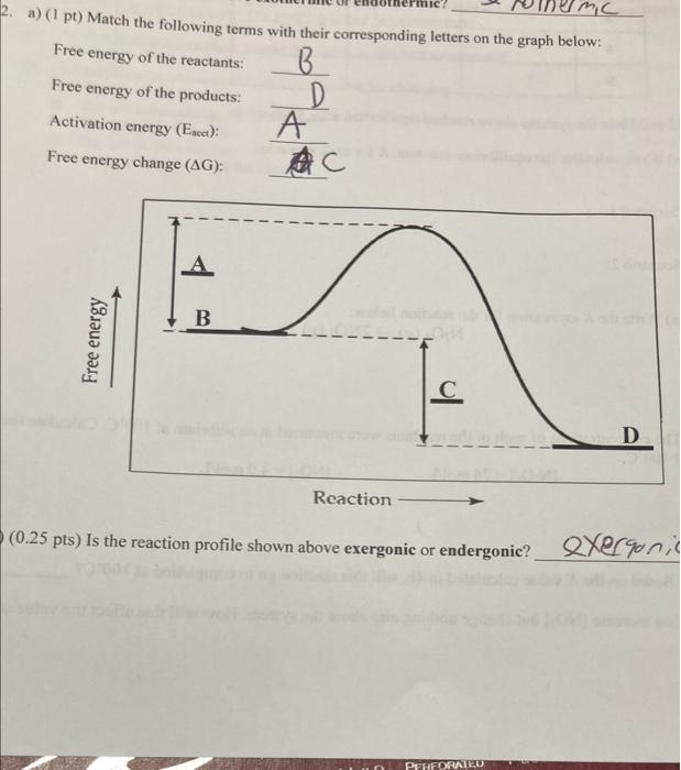 Solved 2.. a) (1 pt) Match the following terms with their | Chegg.com