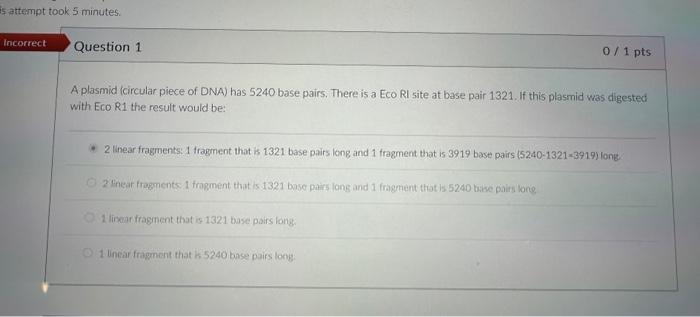 Solved Question 5 0/1 pts in PCR. what happens during the | Chegg.com