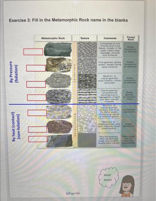 Solved Exercise 3: Fill in the Metamorphic Rock name in the | Chegg.com
