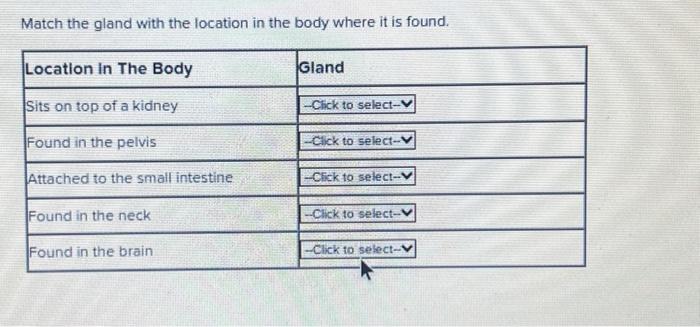 Solved Match the gland with the location in the body where | Chegg.com