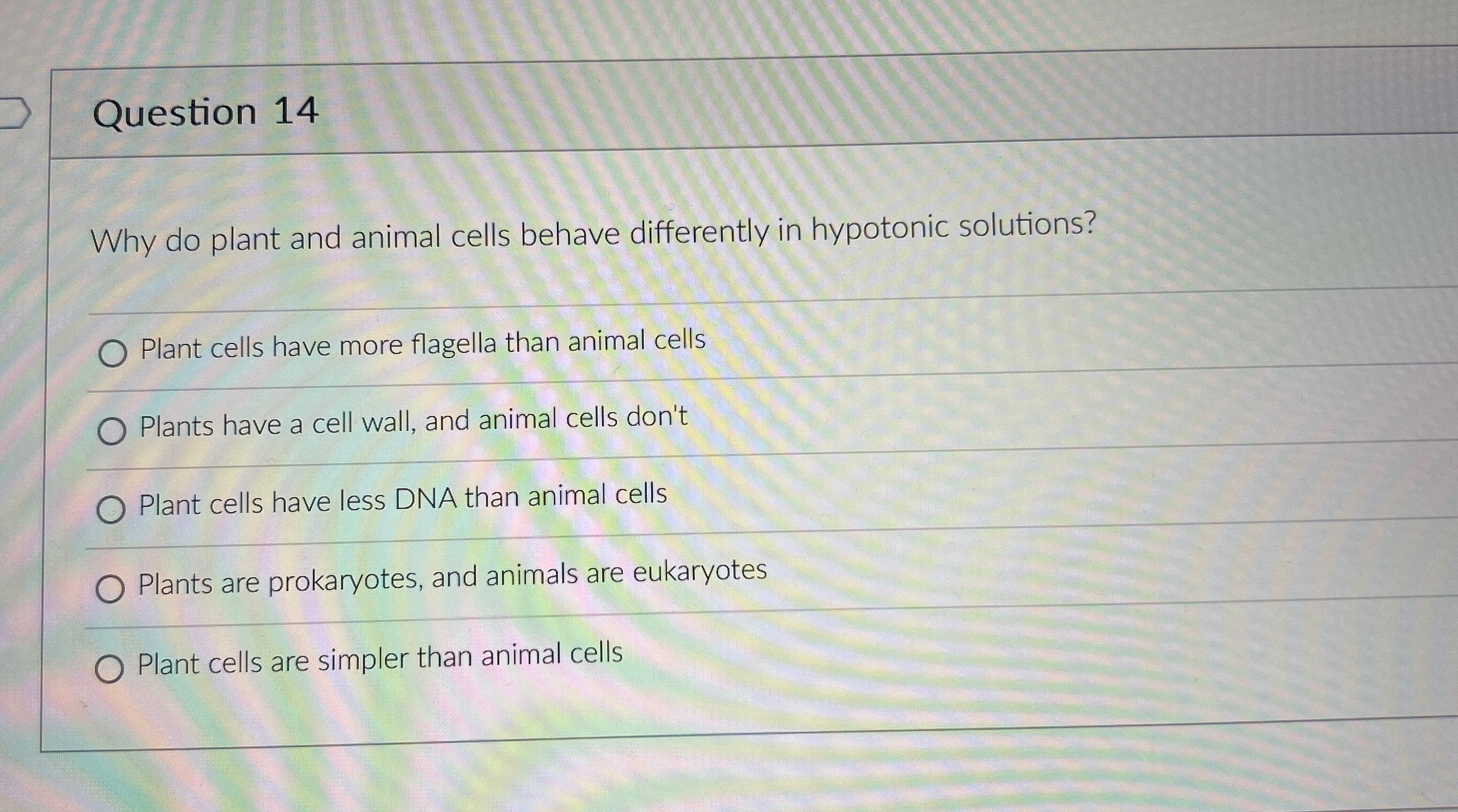 Solved Question 14Why do plant and animal cells behave | Chegg.com