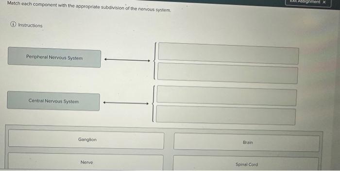 Solved Match each component with the appropriate subdivision | Chegg.com