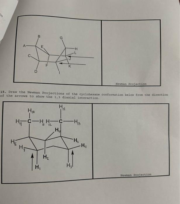 Solved 15. Draw the Newman Projections of the cyclohexane | Chegg.com