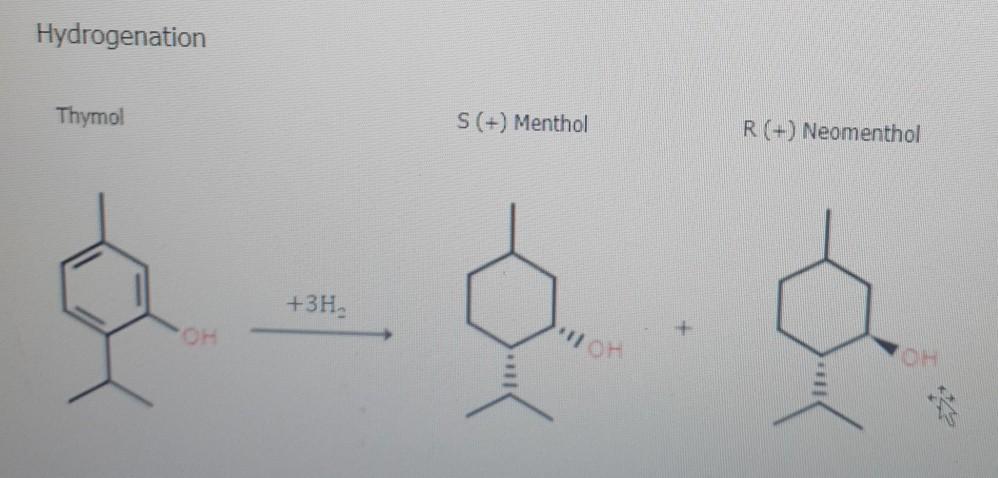 Solved Hydrogenation Thymol S(+) Menthol R(+) Neomenthol +3H | Chegg.com