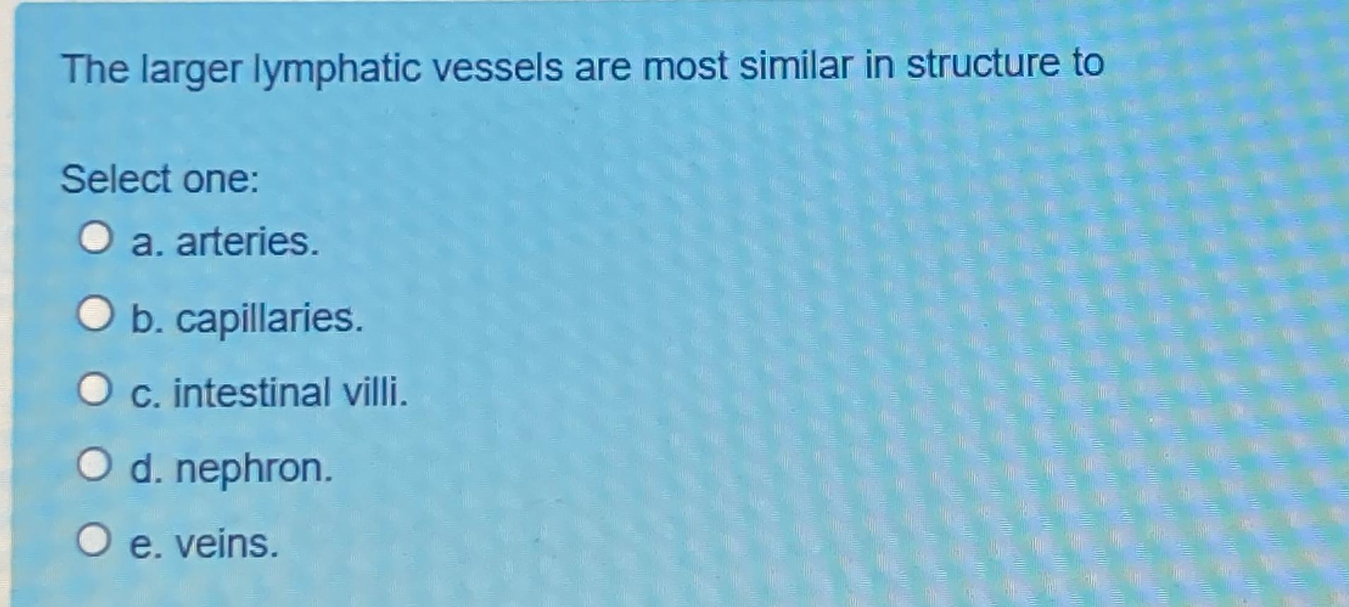 Solved The larger lymphatic vessels are most similar in | Chegg.com