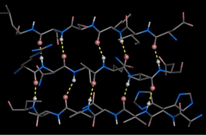 Solved Is This Beta Sheet Parallel Or Antiparallel Please 7750