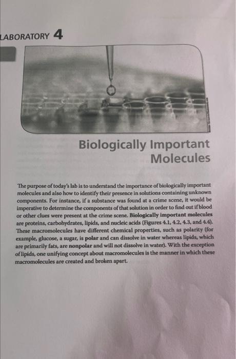 Solved BIologically important Molecules The purpose of | Chegg.com