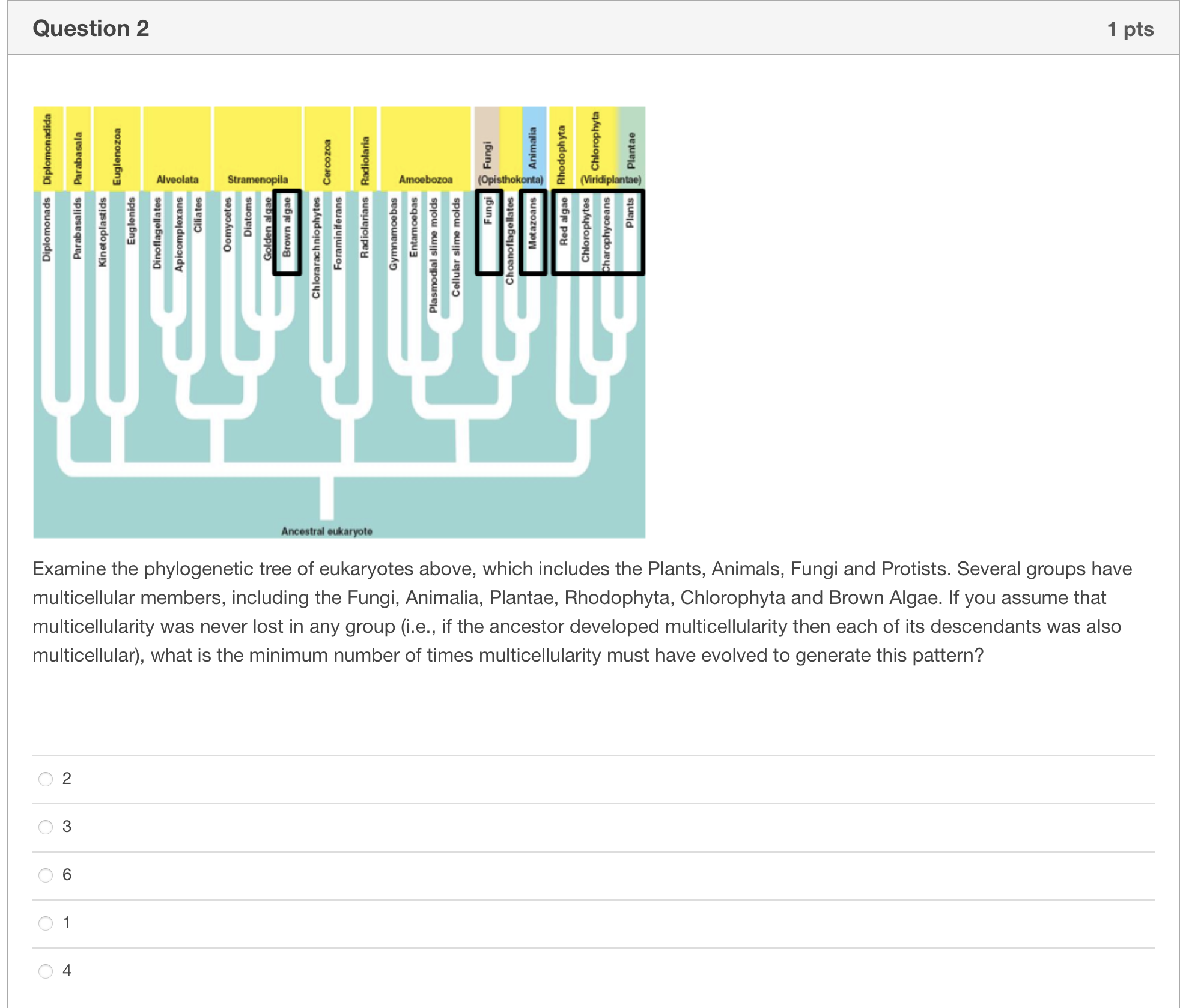 Solved According to this phylogenetic tree, which trait is | Chegg.com