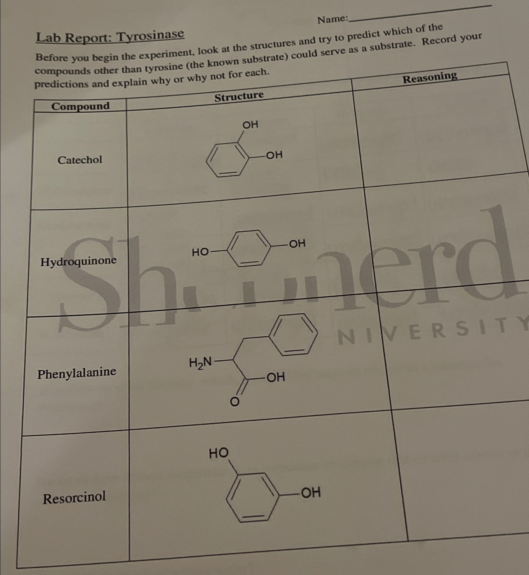 Solved Lab Report: TyrosinaseNan.Before you begin the | Chegg.com
