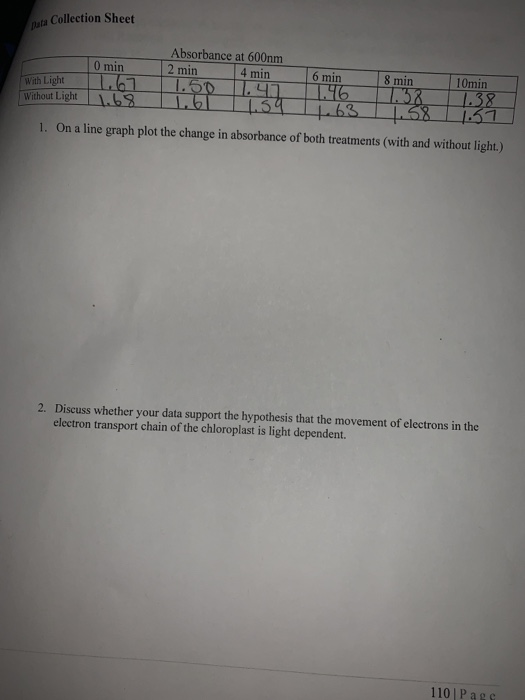 Solved Collection Sheet Data Absorbance at 600nm 2 min 0 min | Chegg.com
