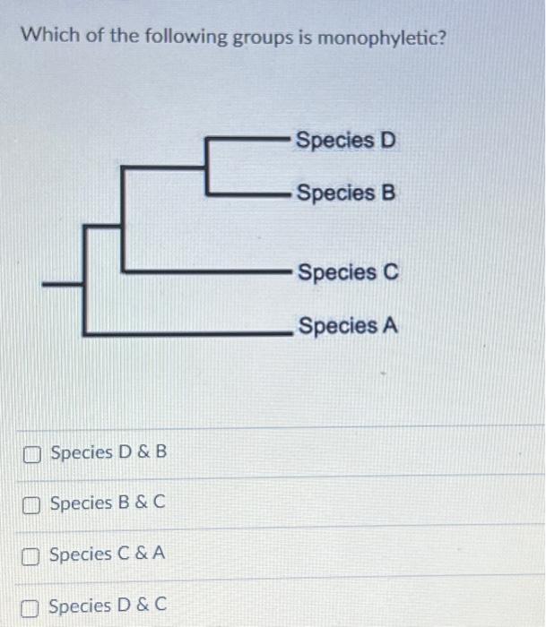 Solved Which of the following groups is monophyletic? | Chegg.com
