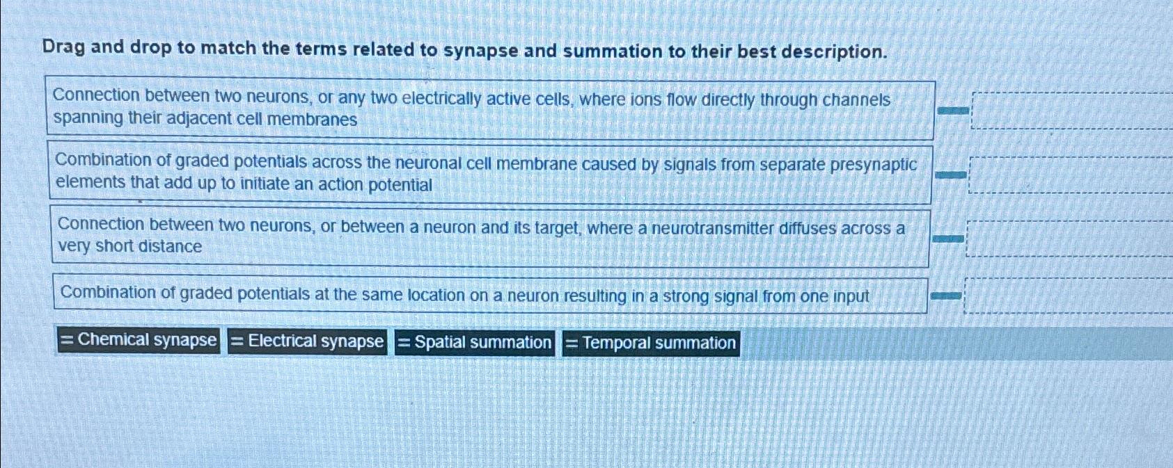 Solved Drag and drop to match the terms related to synapse | Chegg.com