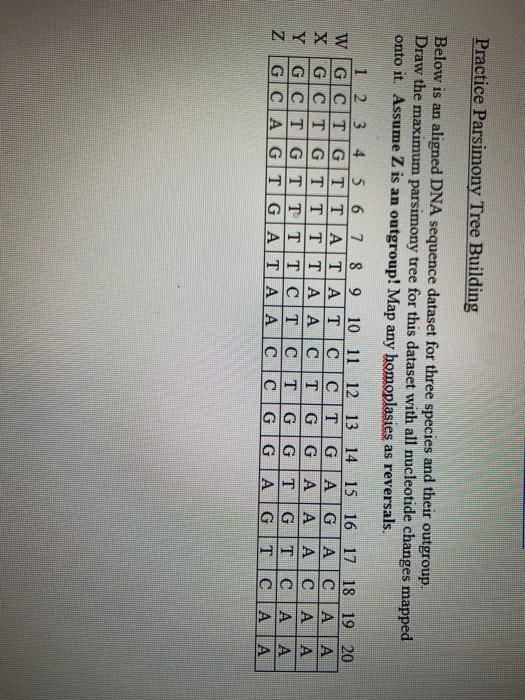 Solved find the most parsimonious tree and what are the | Chegg.com
