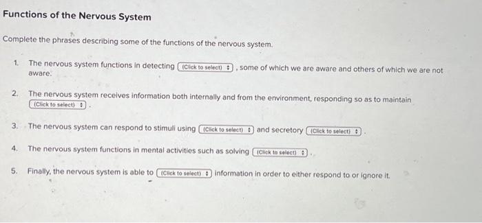 Solved Functions of the Nervous System Complete the phrases | Chegg.com