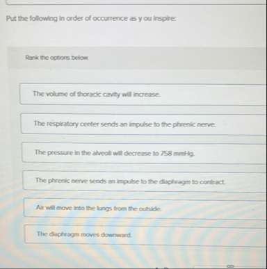 Solved Put the following in order of occurrence as y ou | Chegg.com