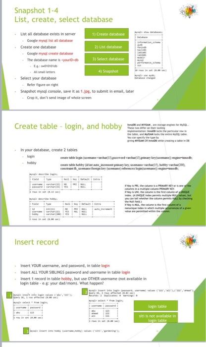 Run MySQL console in XAMPPCreate table-login, and | Chegg.com