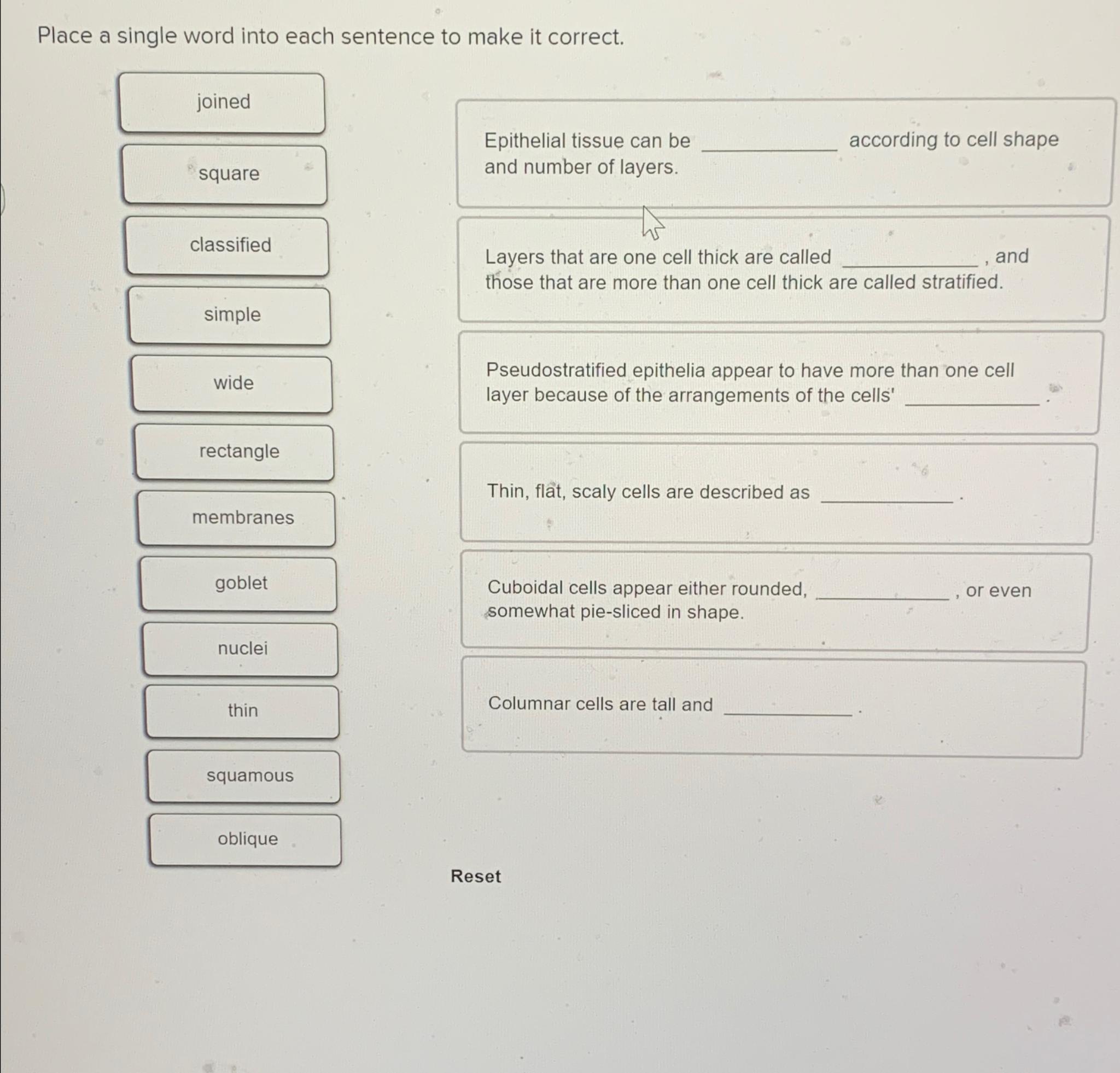 Solved Place a single word into each sentence to make it | Chegg.com