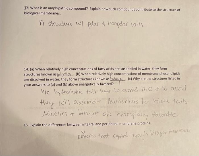 Solved 16. The bacterium E. coll can grow at 20∘C or ap | Chegg.com
